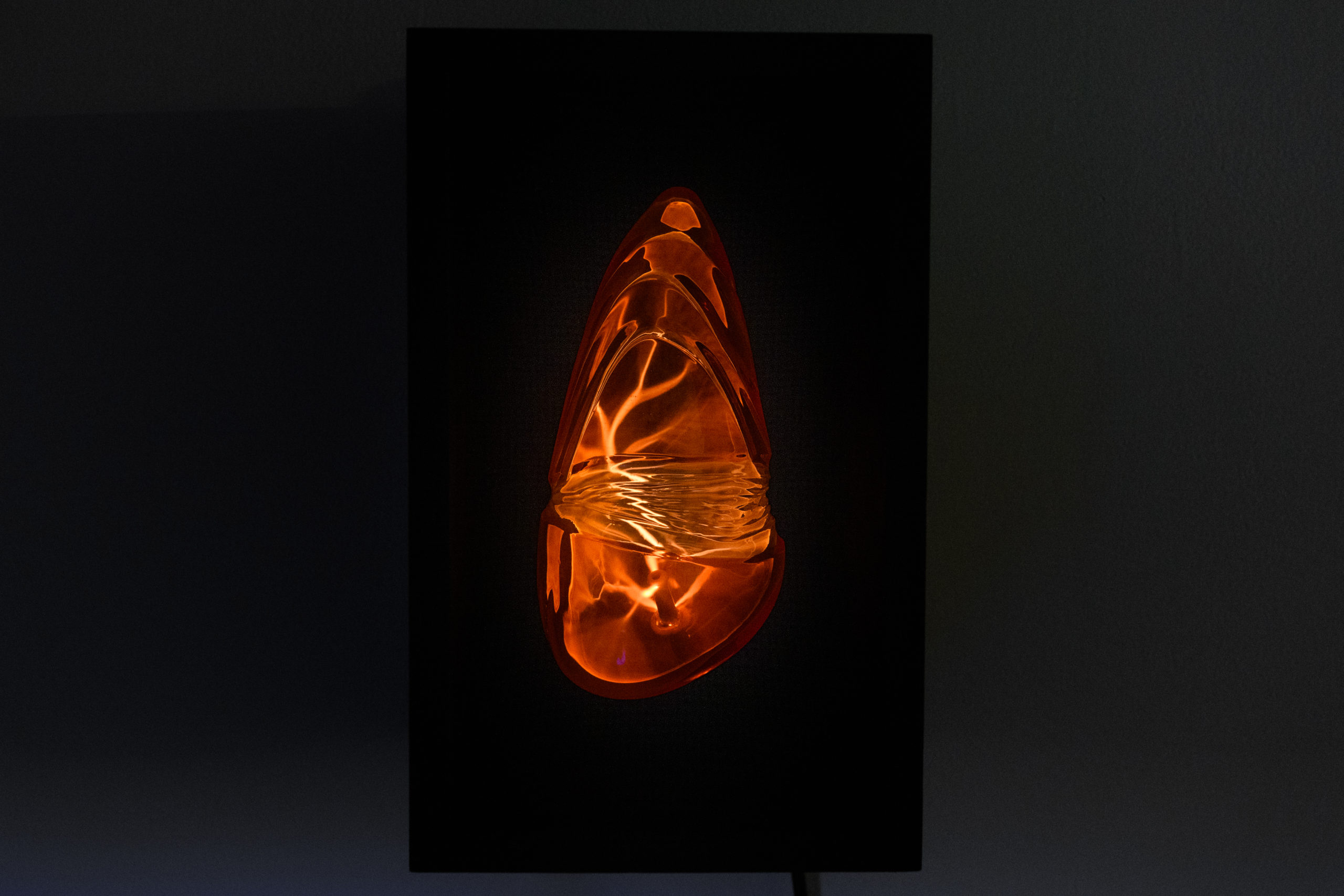 Portfolio - Percy Echols II